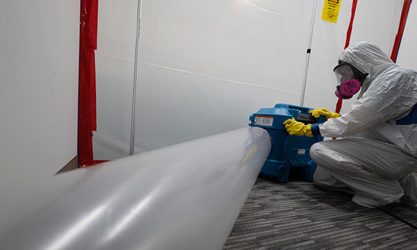 Mold Removal and Remediation | Lightspeed Restoration